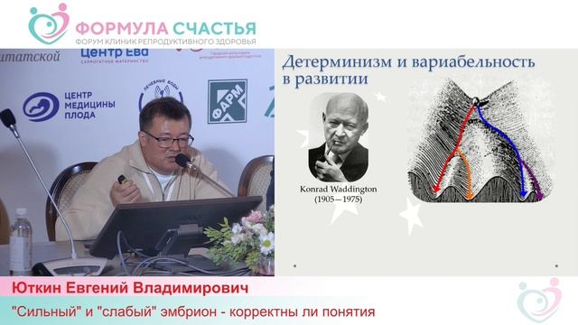Юткин Е.В. «Сильный» и «слабый» эмбрион - корректны ли понятия»