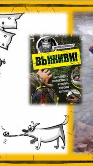 Выживи! Гелиограф - прибор для подачи сигналов о помощи.