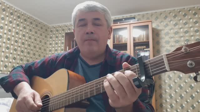 "В Лесу родилась Ёлочка" /На Новый лад. Моя версия) Прикольная, шуточная песенка на гитаре.