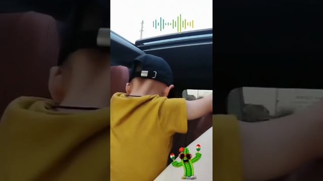 А вы, любите кататься на машине?