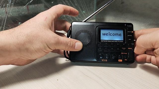 V115 - радио, которое ловит весь гражданский диапазон. Слушаем ДВ AM в 2024 году