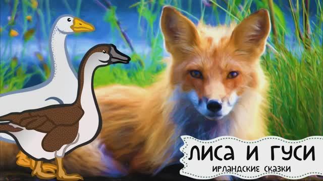 Лиса и гуси _ Ирландская сказка