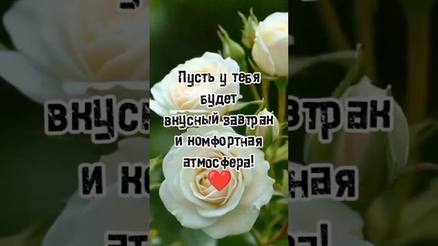 #доброеутро