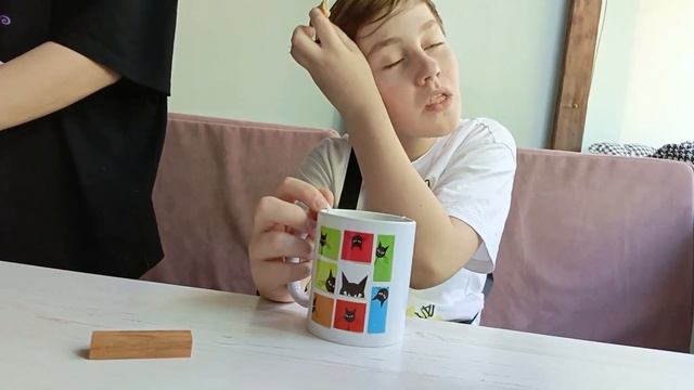 Влог из котокафе №9!