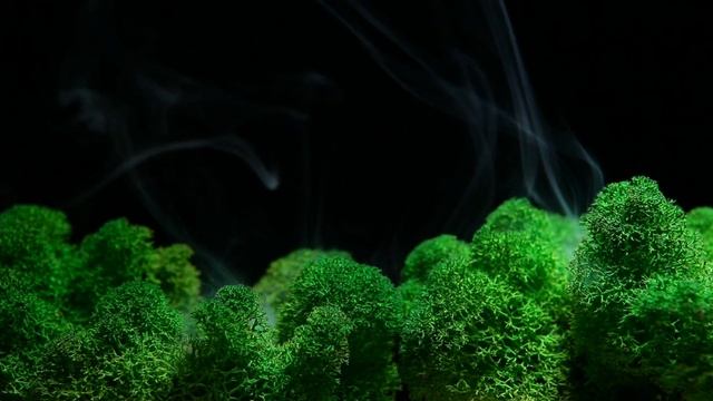 Счастье твоё