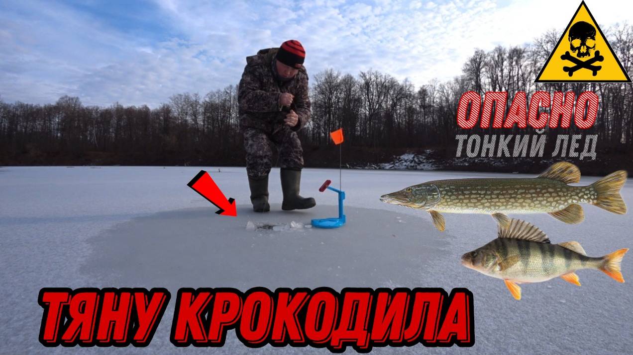 МОЯ САМАЯ ЛУЧШАЯ РЫБАЛКА НА ЖЕРЛИЦЫ. ВОТ ЭТО ПЕРВЫЙ ЛЕД ТВОРИТ ЧУДЕСА. ЩУКА КЛЮЁТ КАК ДУРНАЯ.