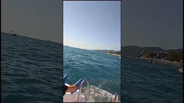 Отдых Лазаревское.