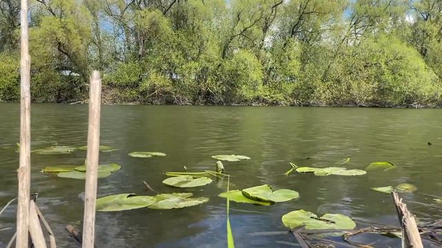 Когда хочется тишины