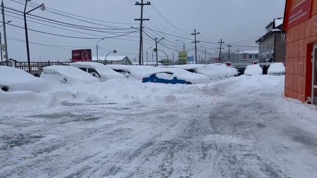 #просахавто #sakhauto #сахавто