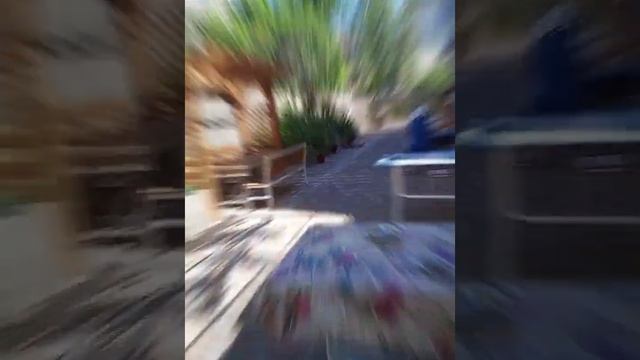 Отдых Лазаревское.