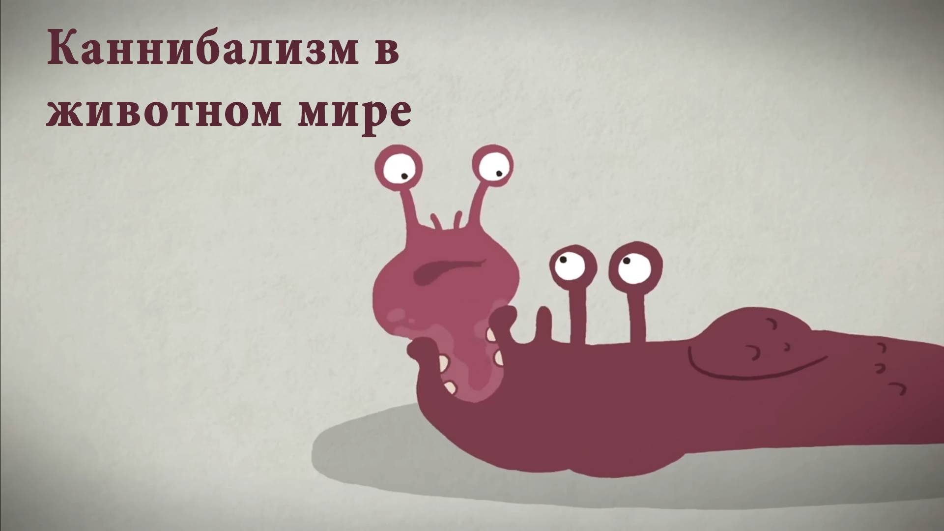 Каннибализм в животном мире(ганибализм)