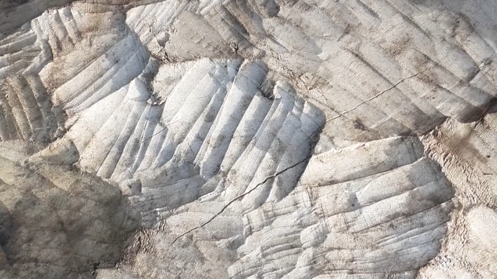 #Бобры постарались