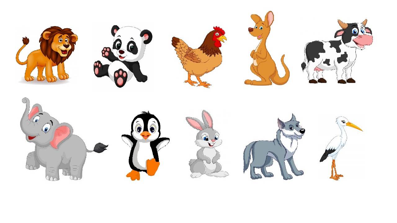 Обитатели нашей планеты. Часть 2.  Животные и птицы