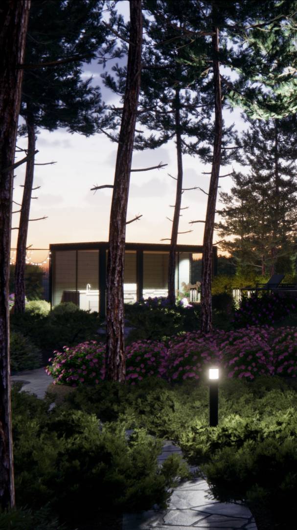 Сад в лесу на берегу Вуоксы. Проход из лесной зоны к дому в вечернее время.