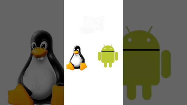 чикопат мем