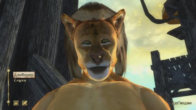 The Elder Scrolls IV Каджиты приколы