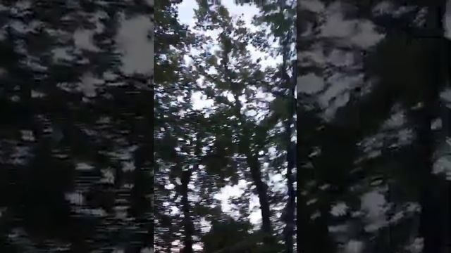 Отдых.Природа.