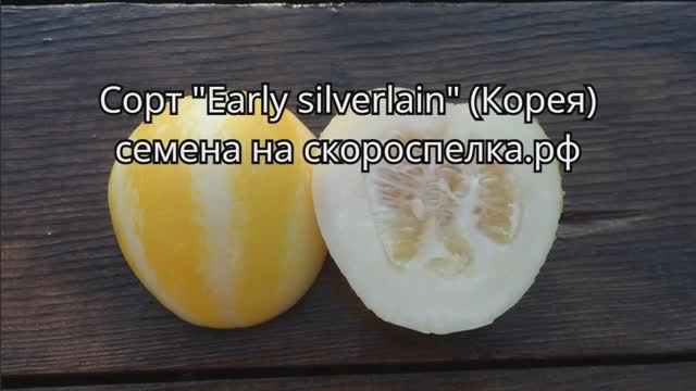 Корейская дынька "Early silverlain". Один из лучших корейских сортов.