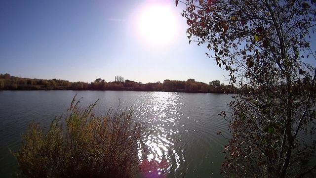 2024_10_04 1685_1697 Осиновое озеро Ульяновск