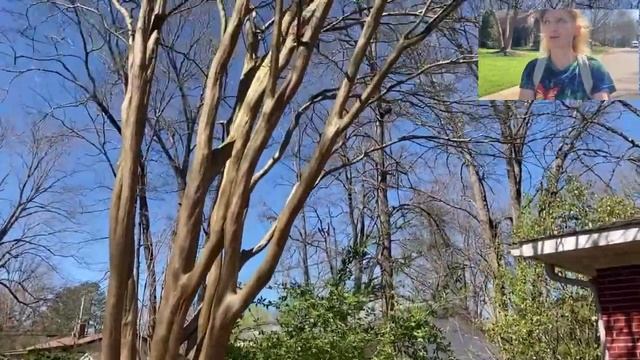 Осмотр дома в Южной Каролине. Покупка дома в Америке. часть2. городок Рок Хилл.