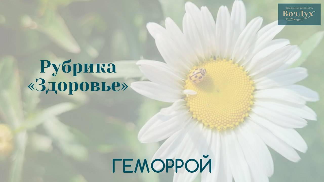Геморрой | Самочувствие | Психосоматика