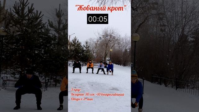 💪Комплекс "Жеваный крот"