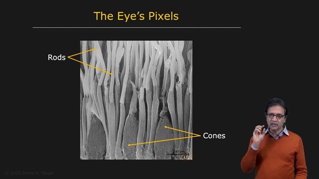 19 - Image Sensing - Sensing Color