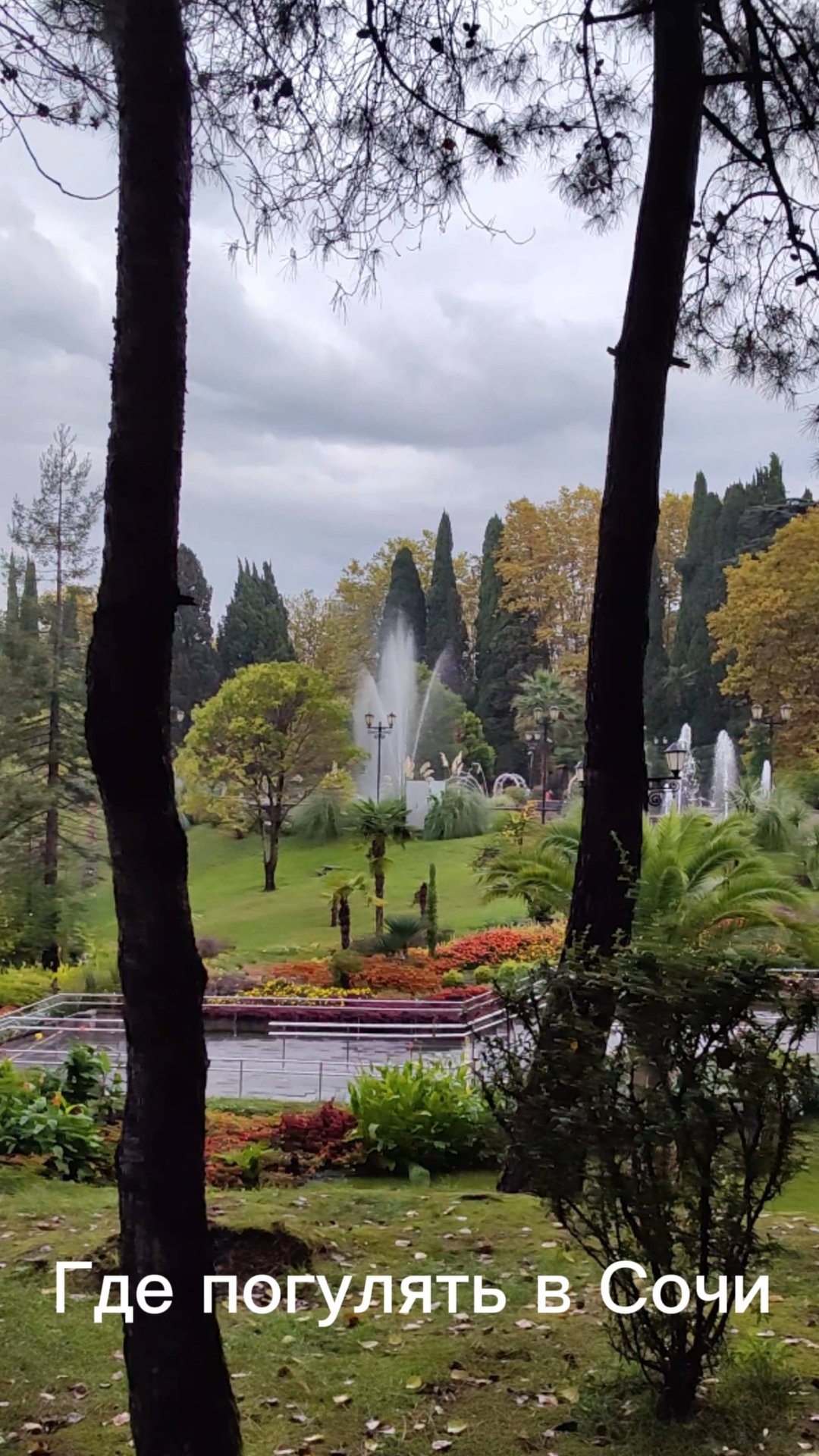 Фонтаны Сочи (около концертного зала Фестивальный)