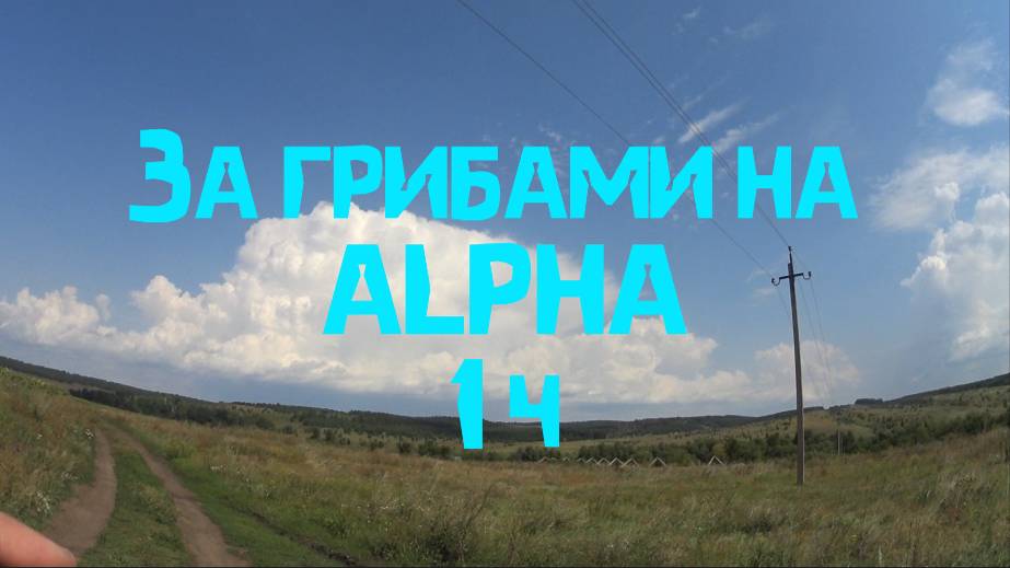Покатушки за грибами на мопеде Alpha 1ч.