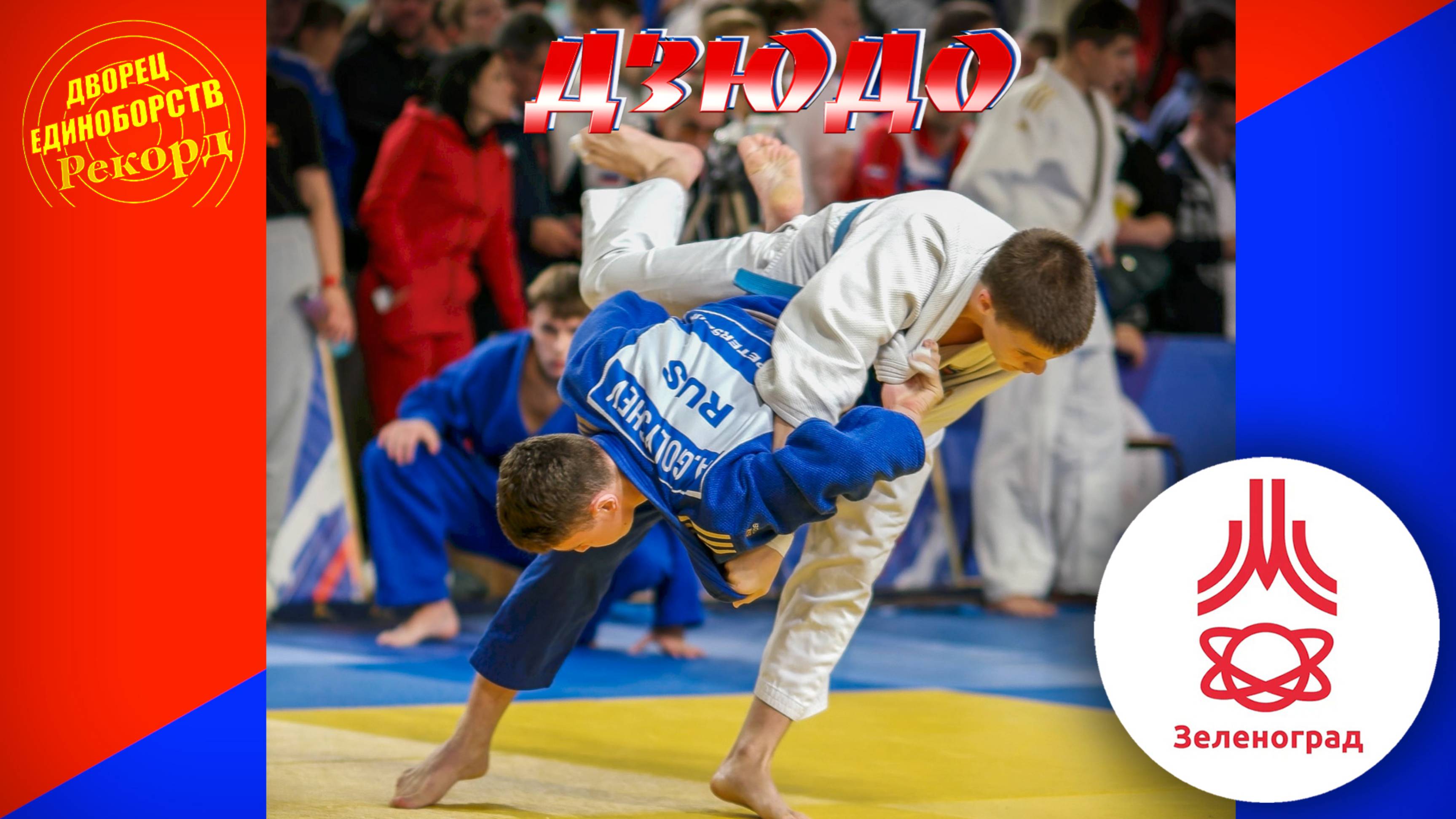 ГБУ ДО МКСШ “Зеленоград”, отделение “Рекорд”, ДЗЮДО - Невзоровский 2024.
