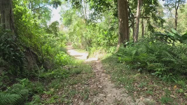 ПЕШАЯ ПРОГУЛКА НА КАМАЛУ  СРЕЗАЛ ПУТЬ ЧЕРЕЗ ДЖУНГЛИ ГОРНОГО ЛЕСА Часть 1.2