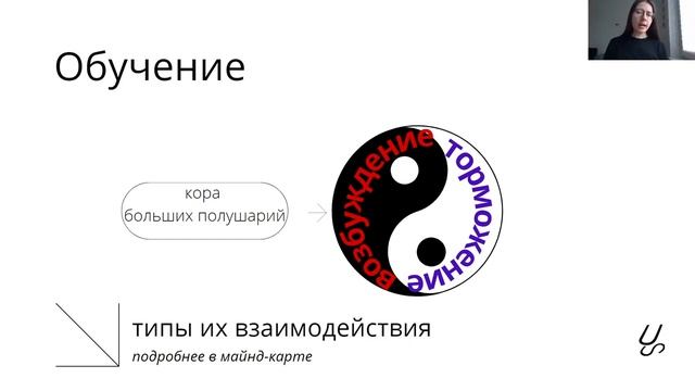 Гигиена детей и подростков | Психофизиология обучения