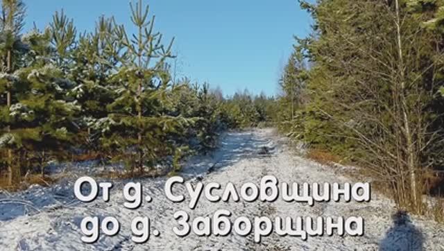 От деревни Сусловщина до деревни Заборщина.mp4