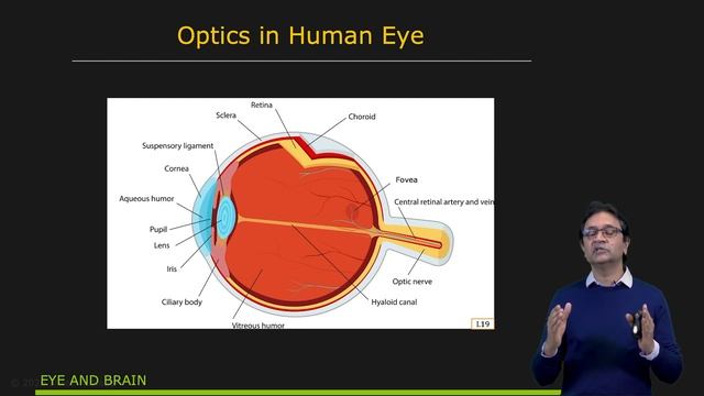 14 - Image Formation - Animal Eyes