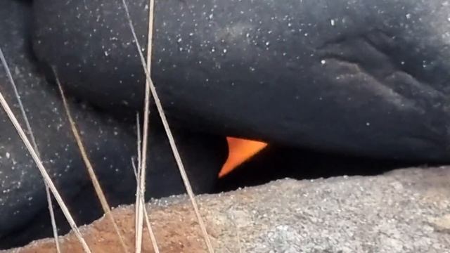 Дорога к Ладоге (острова) relax edition