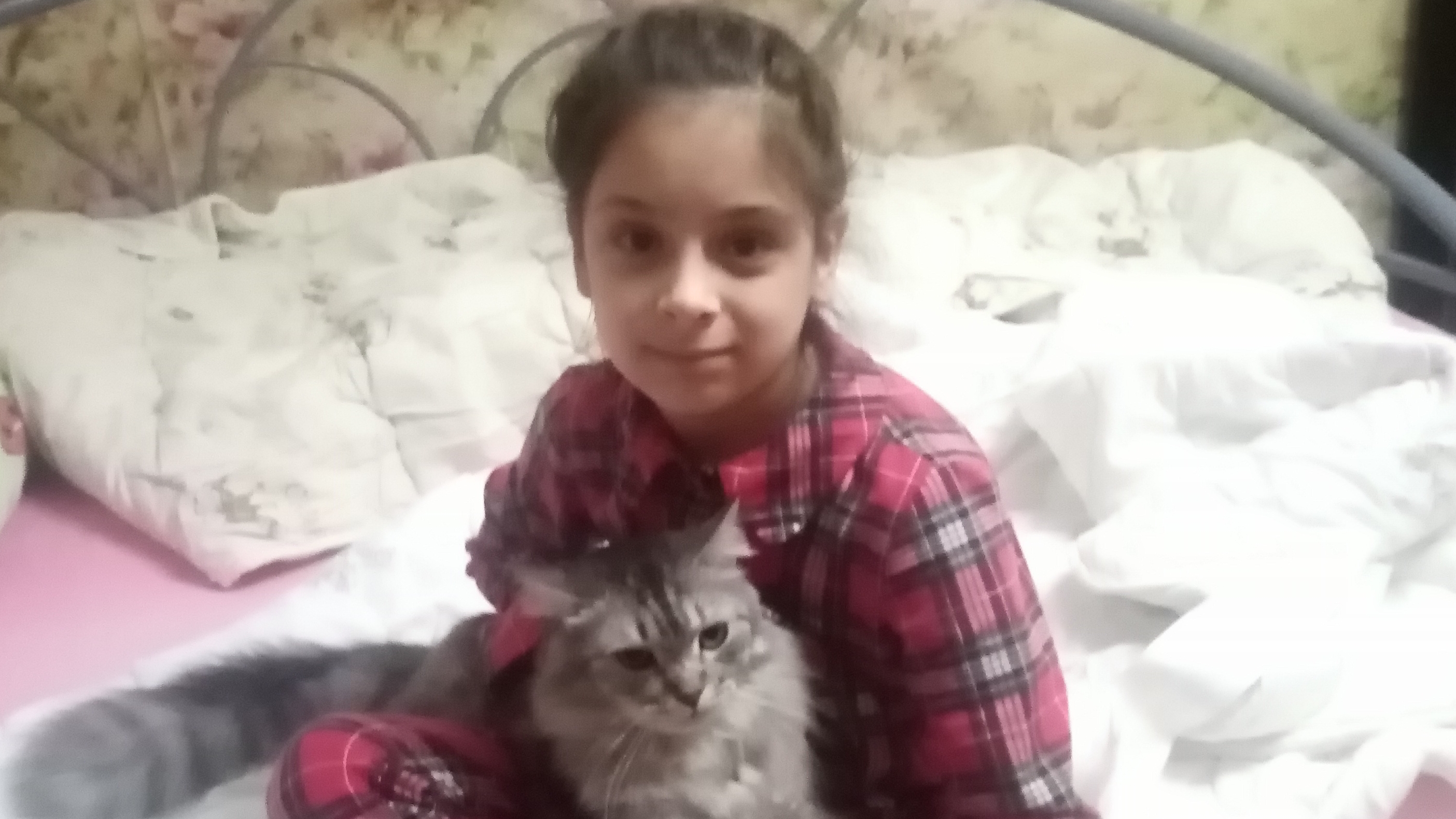 Рассказываю о моём петомце, Симбе.