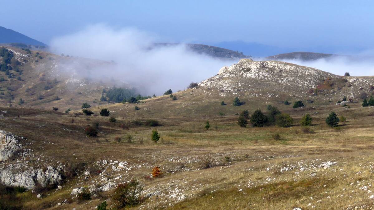 На высоте 1000 метров. Караби-яйла.