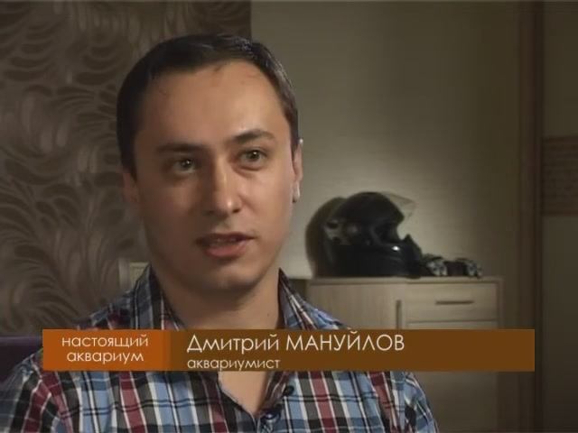 аквариумы 2016 /видео для внутреннего пользования, публичное размещение запрещено/