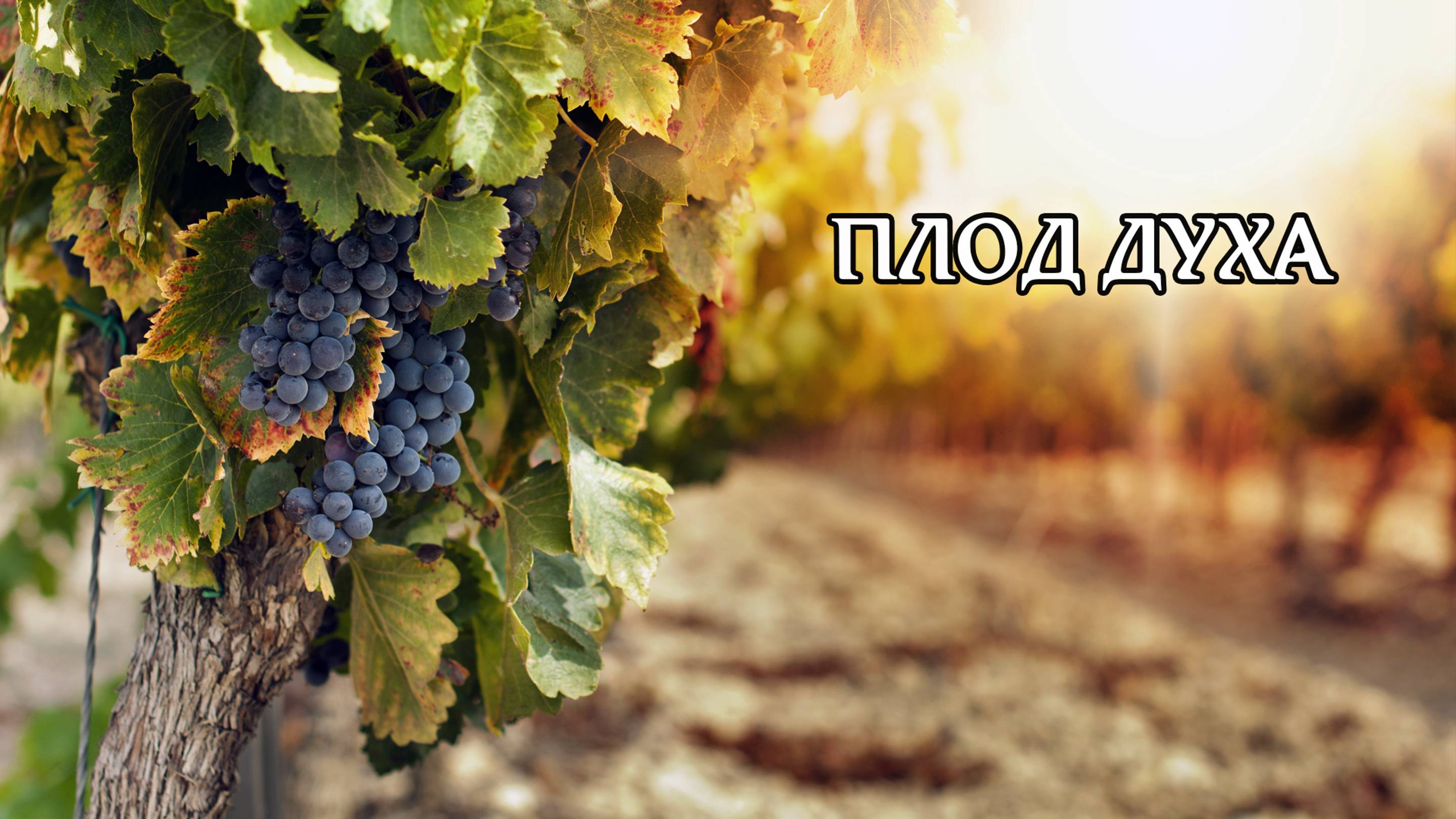 Плод Духа