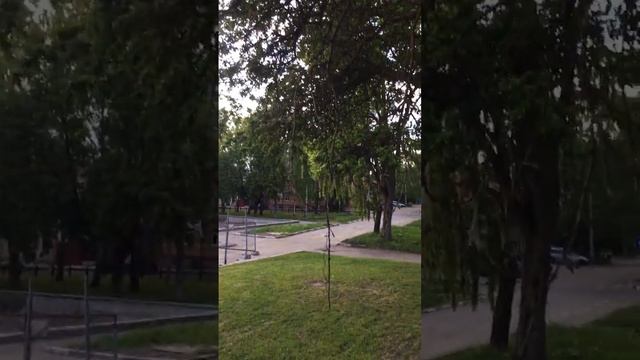 Чья гирлянда?