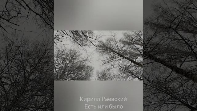 Кирилл Раевский "Есть или было"