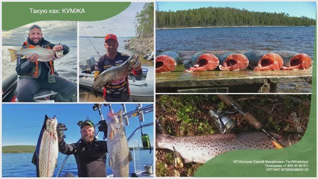 Рыбалка на севере Карелии, озеро Пяозеро