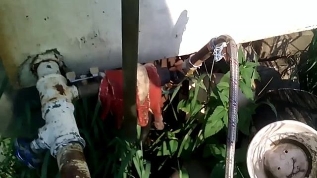 Поилка в Утятнике