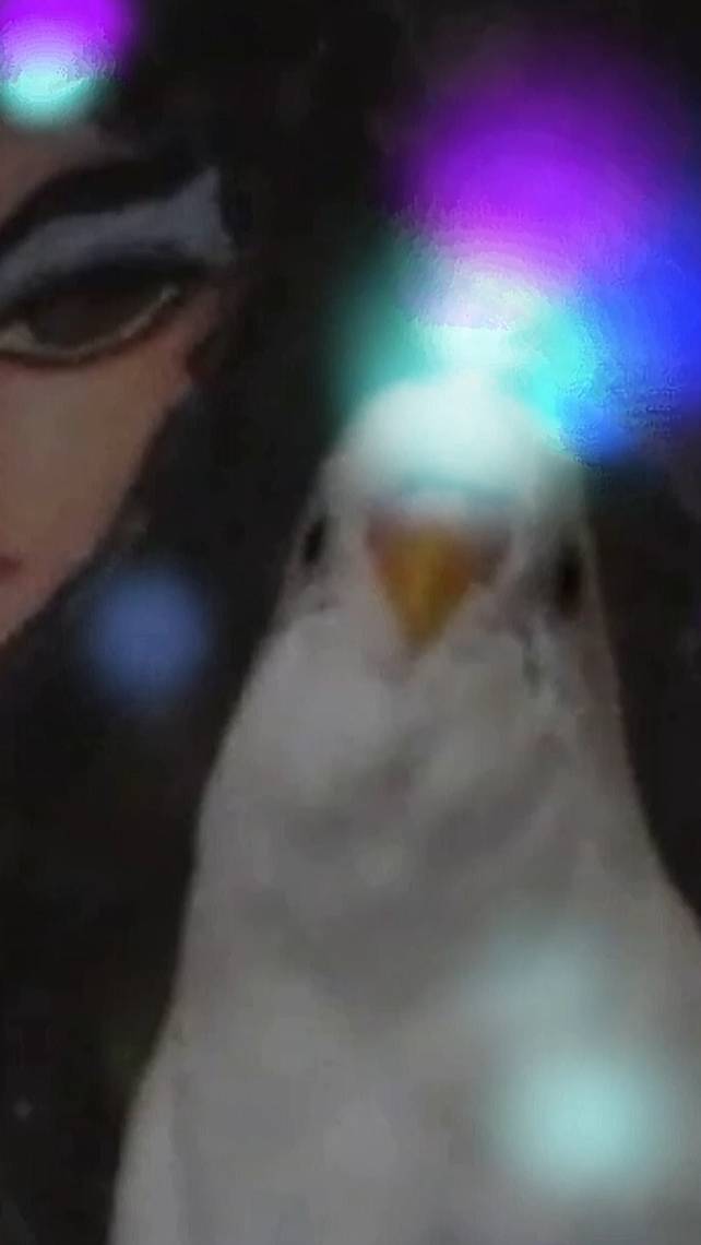 Морозко говорит что он маленький лапусик!!!