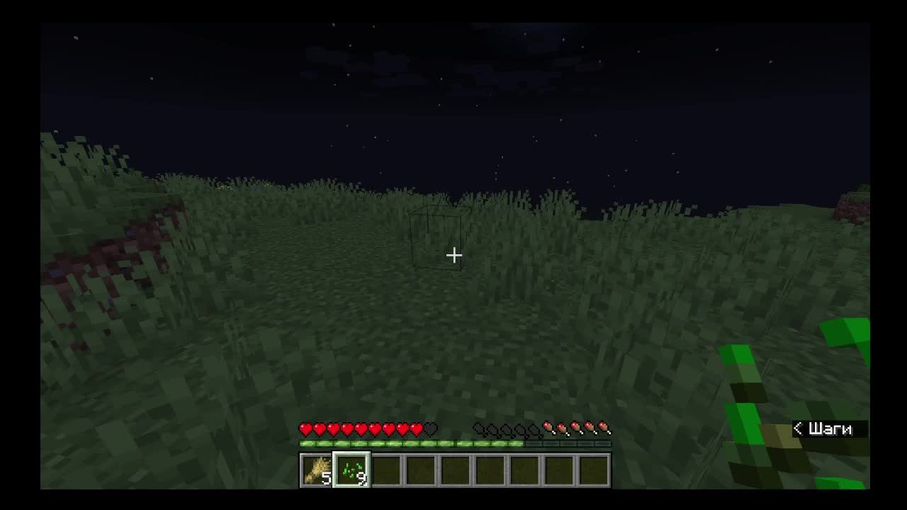 играю в майнкрафт #5