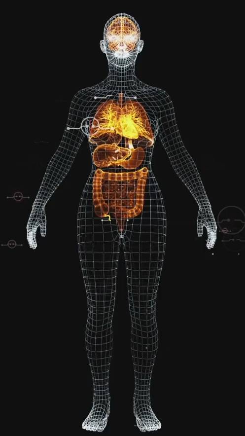 🧠Анатомия человека: удивительный мир внутри нас! #биология #наука #егэ #анатомия #образование