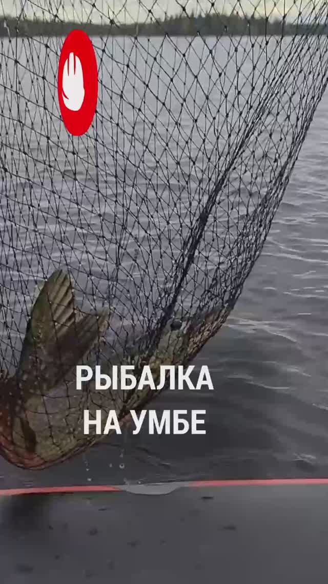 Рыбалка на Умбе