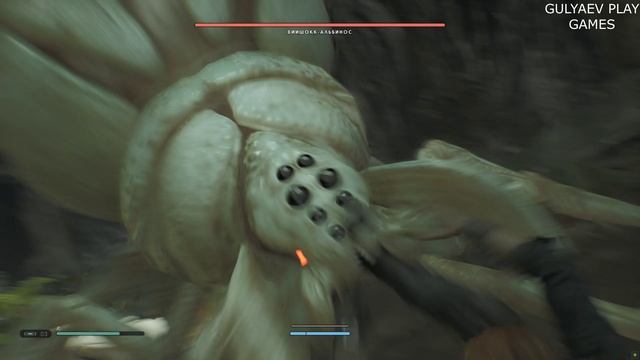 Star Wars Jedi: Fallen Order. Кашиик.