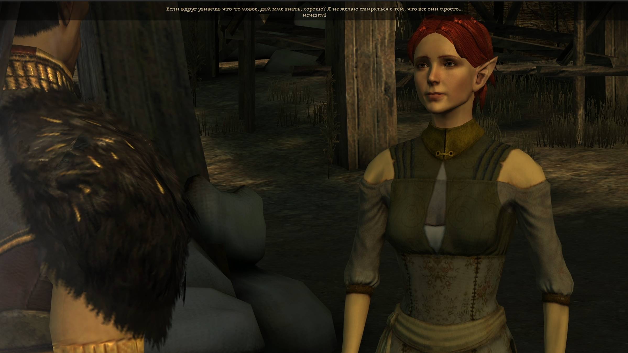 Dragon Age Origins - (2)063 (Эльфинаж)