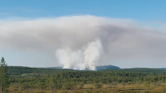 Север-2024. 07. Лесной пожар